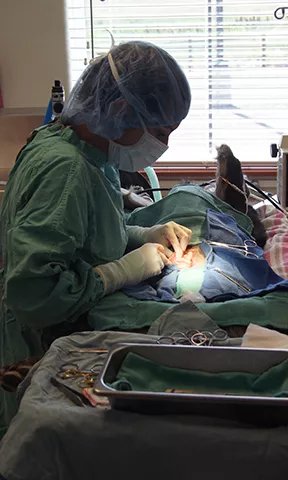 Resources | W.O.L.F Sanctuary