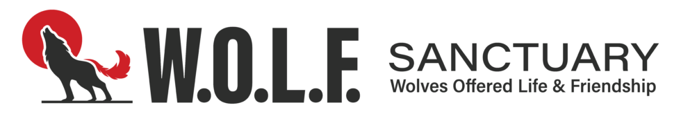 Ownership | W.O.L.F Sanctuary